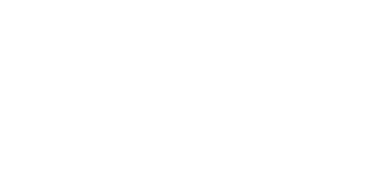 Rabies Tags | DVM Central - Vet Identification Tags