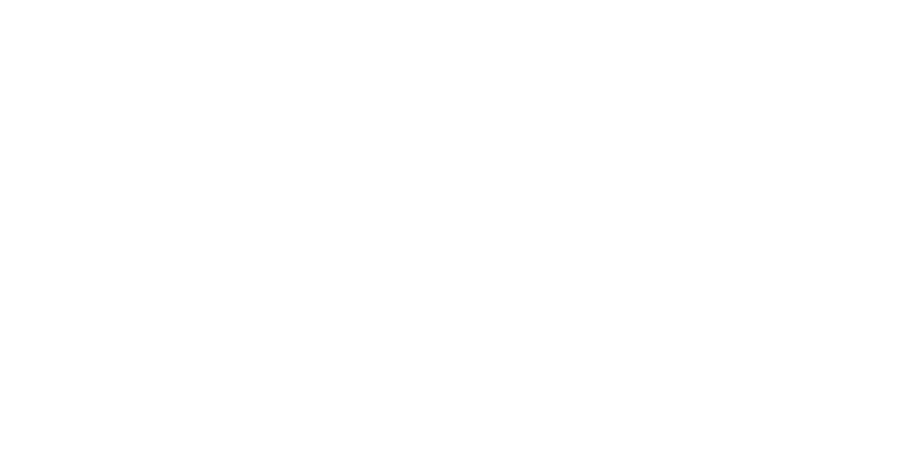 Rabies Tags for Pet Vaccination Records | DVM Central.